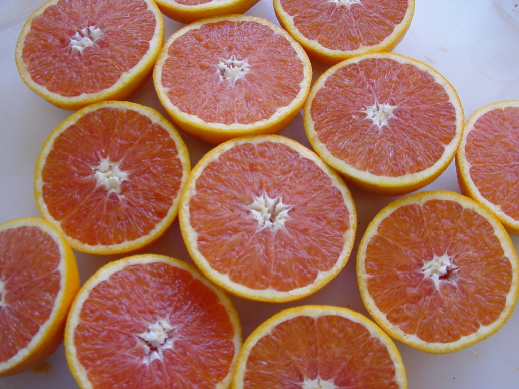 Rare-and-Unusual-Citrus-fruit-tree-seeds-Yummy-Exotic- - Heddysue.com ...